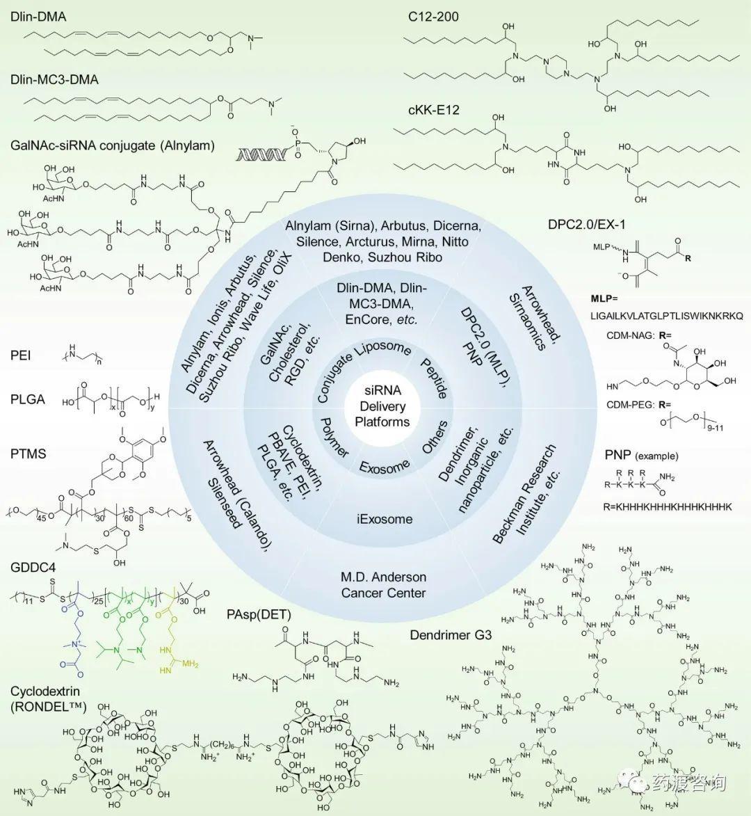 siRNA：药物革命新秀，掀起一片蓝海 - 知乎