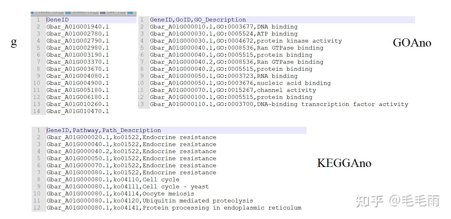 本地GO/KEGG富集分析 - 知乎