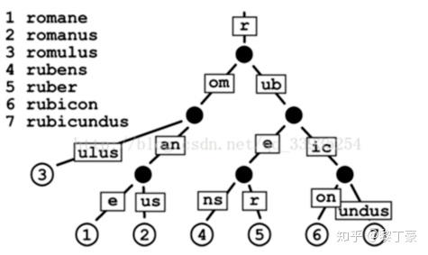 以太坊 Merkle Patricia Tree 全解析 - 知乎