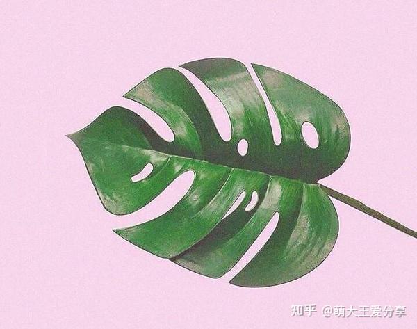 如何处理工作中的人际关系 知乎