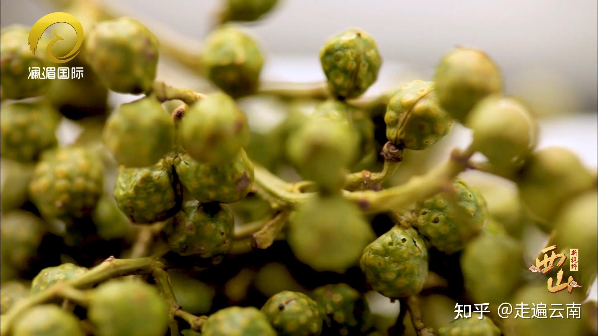|西山新视野|寻味西山：麻辣鲜香花椒鸡 - 知乎