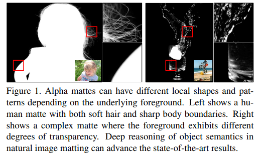 Semantic Image Matting，首次将语义引入抠图任务 - 知乎