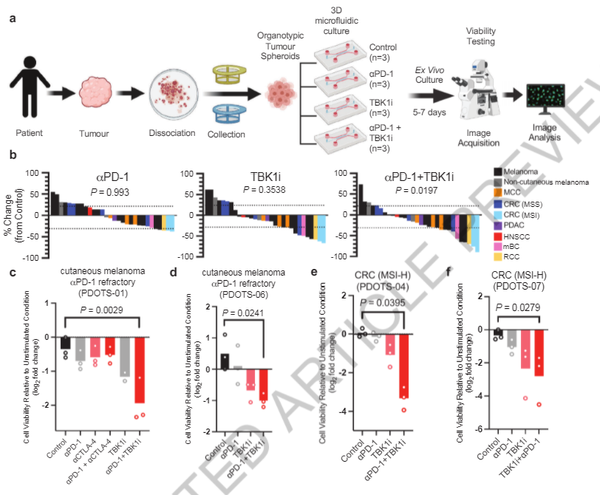 Nature | 靶向TBK1克服免疫疗法耐药性 - 知乎
