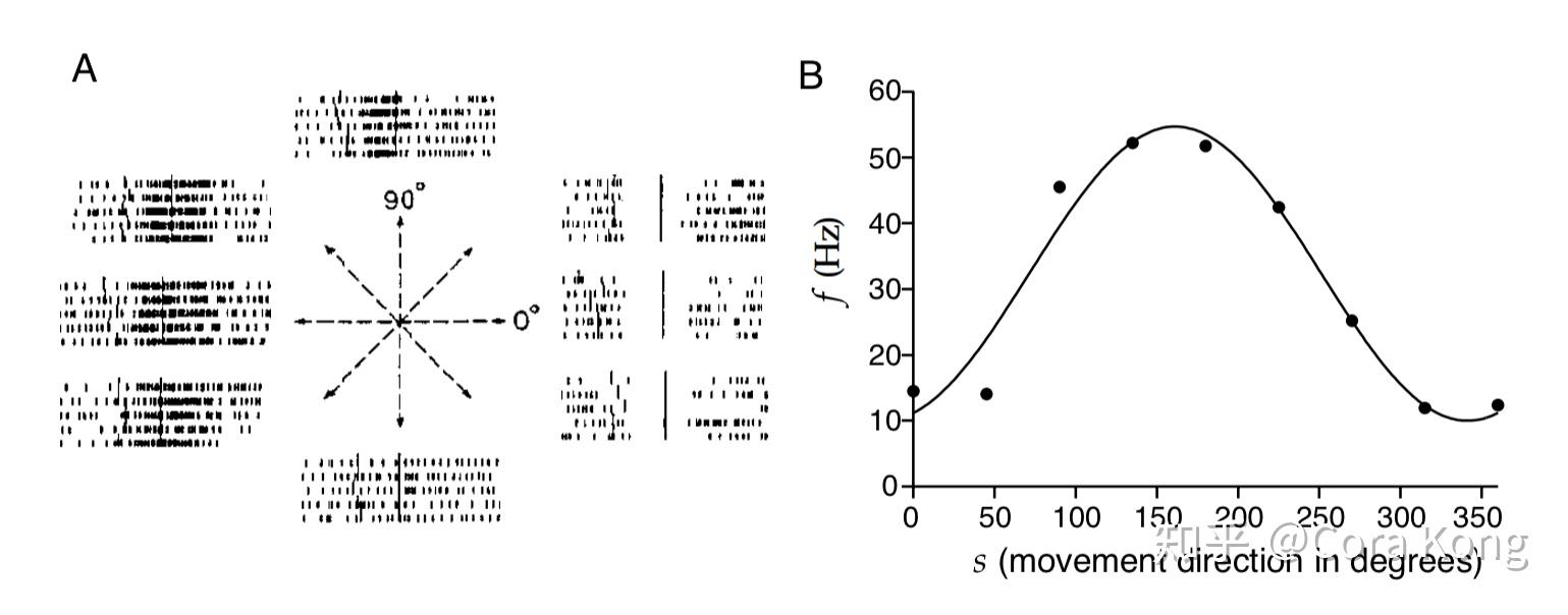 Theoretical Neuroscience（Dayan & Abbott）笔记1.2-1.3 - 知乎