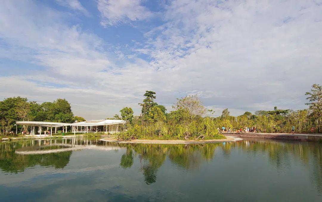 中心地带的第一个国家花园-新加坡Jurong Lake Gardens - 知乎