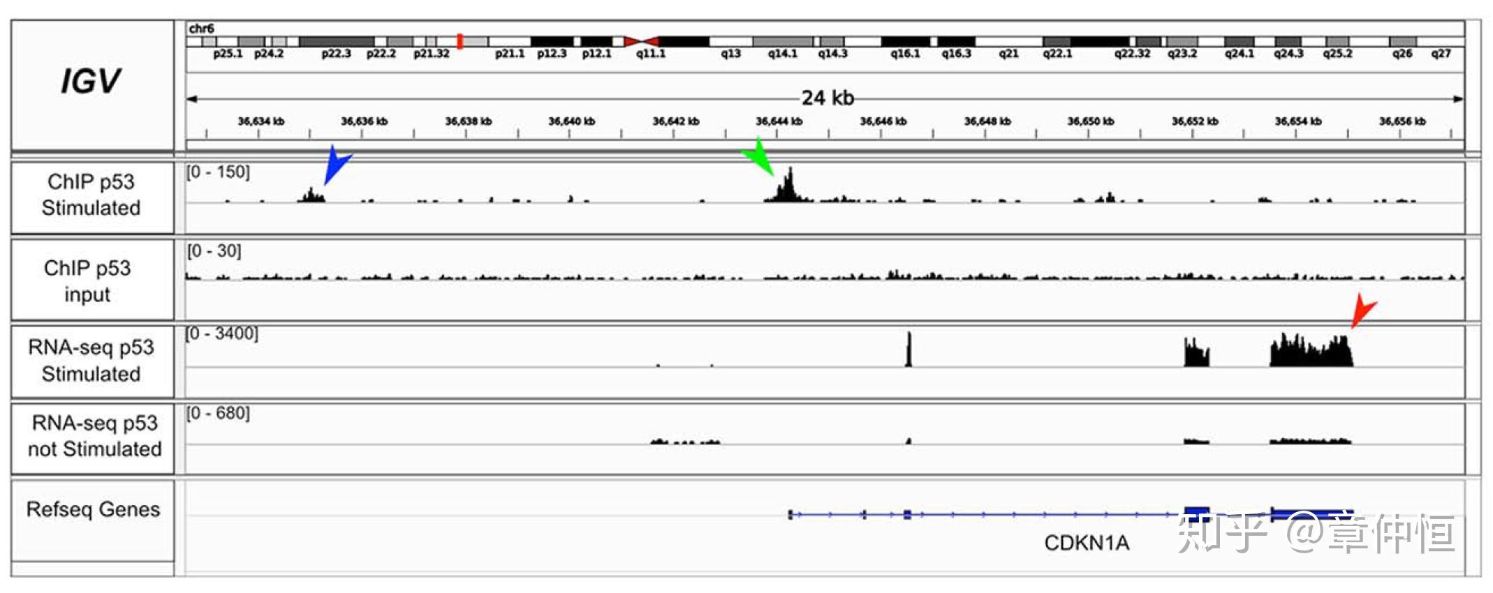 iRegulon：从基因列表到调控网络 - 知乎