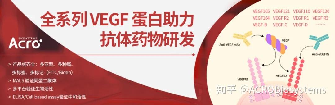 【靶点新势力】VEGF：抗肿瘤治疗历久弥新的靶点 - 知乎