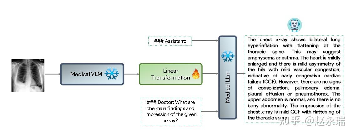 医学报告生成大模型总结梳理 - 知乎