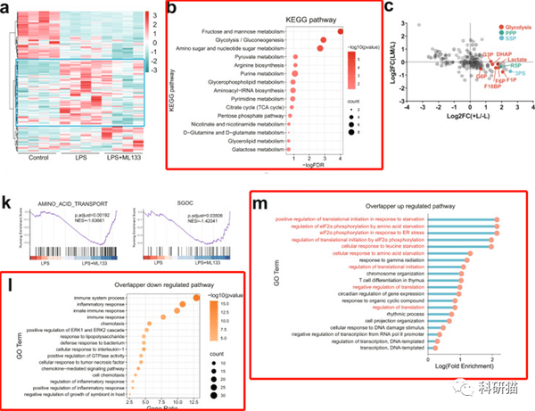 Hiplot 助力Nature Communications影响因子17.7分，Q1区文章发表 - 知乎