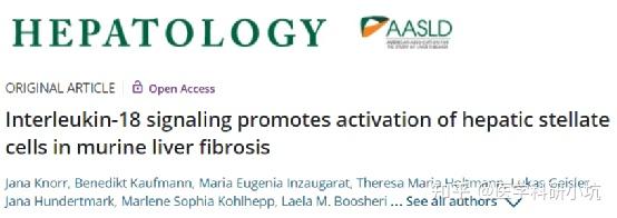 Hepatology: IL-18信号通路促进小鼠肝纤维化中肝星状细胞的激活 - 知乎