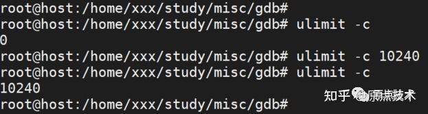 段错误(SegFault)的9种实用调试方法 - 知乎