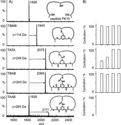 Bicycle®环肽库 - 知乎