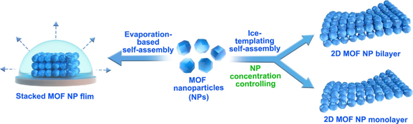 江苏理工JACS：超漂亮，自组装2D MOF超结构 - 知乎