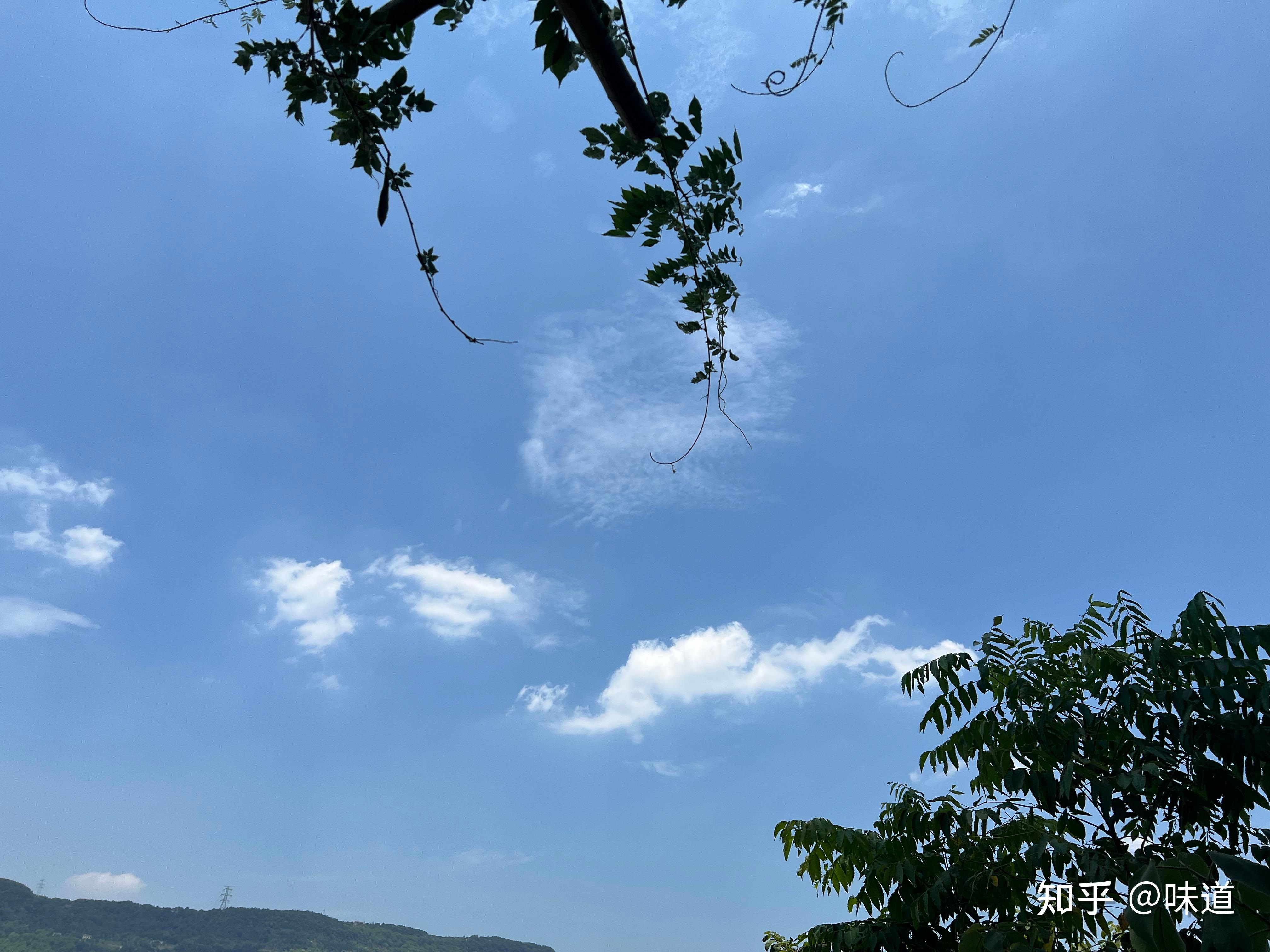 活着 知乎
