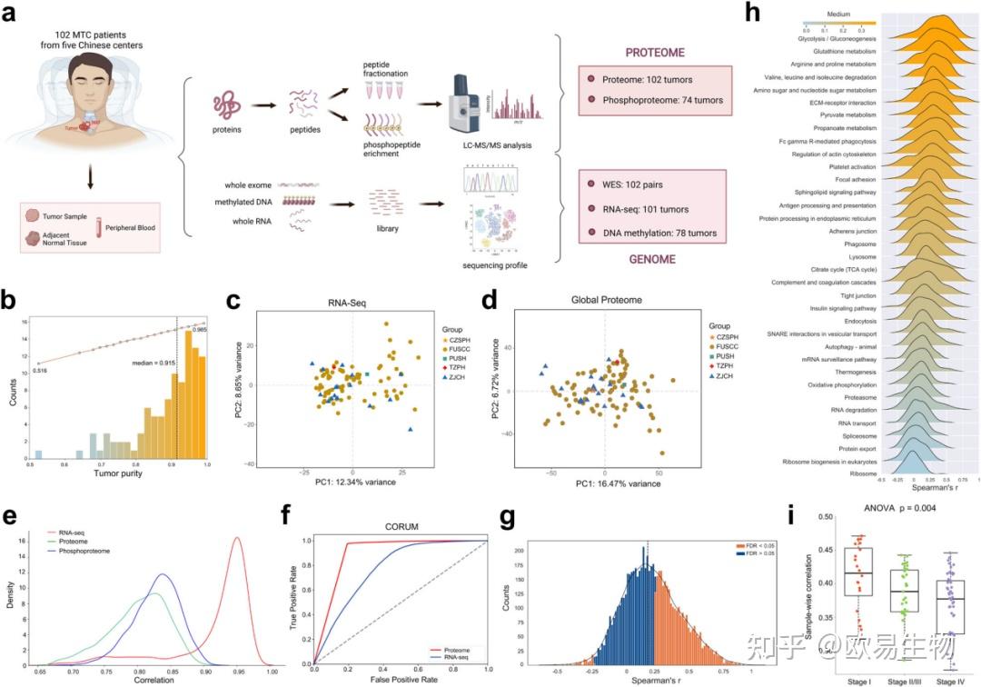 复旦大学附属肿瘤医院揭示甲状腺髓样癌的全景蛋白基因组特征 - 知乎