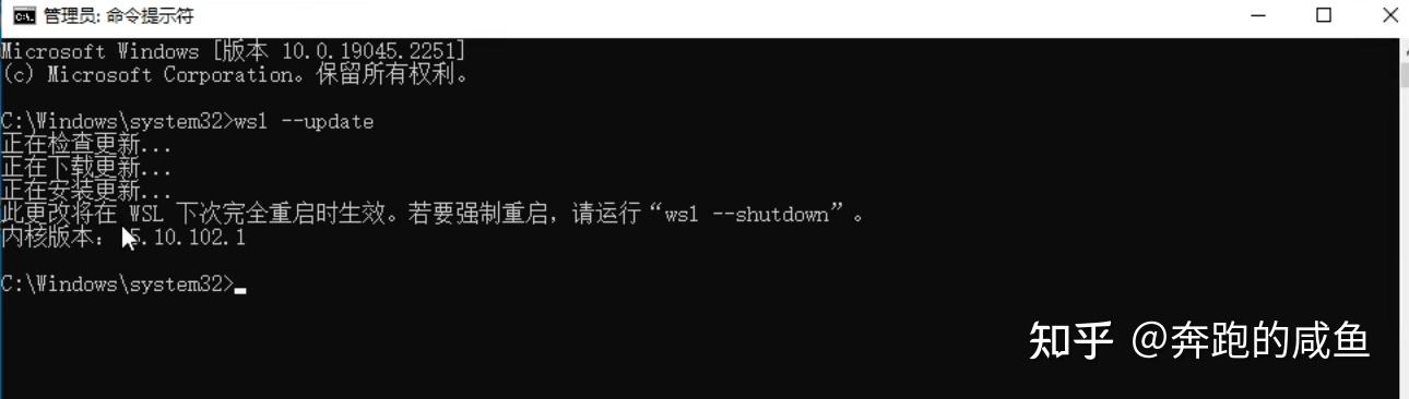 WSLg正式支持Windows10 - 知乎