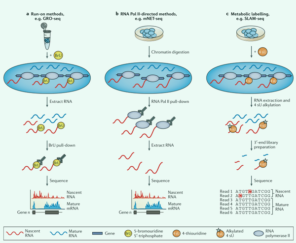 转录组RNA-seq分析前沿进展综述 - 知乎