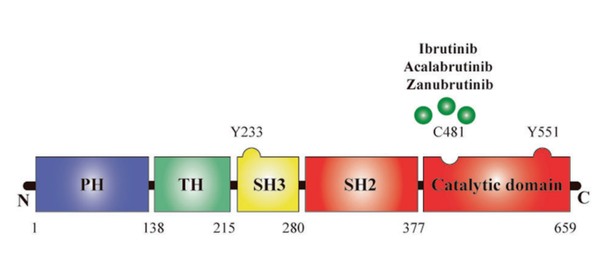 Focus | BTK抑制剂，方兴未艾 - 知乎