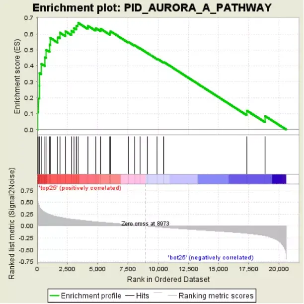 生信小课堂 | 一文了解ORA、GSEA、ssGSEA ！ - 知乎