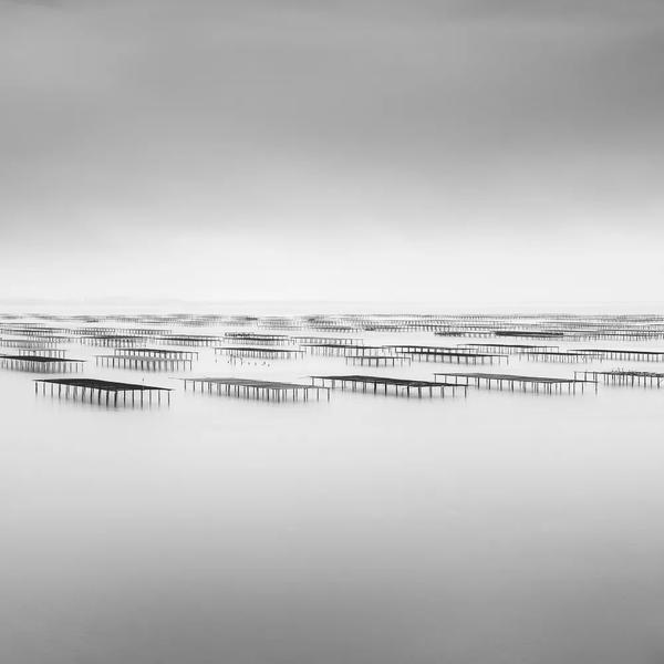 顶级黑白照片长啥样？黑白摄影大赛获奖作品欣赏分析 - 知乎