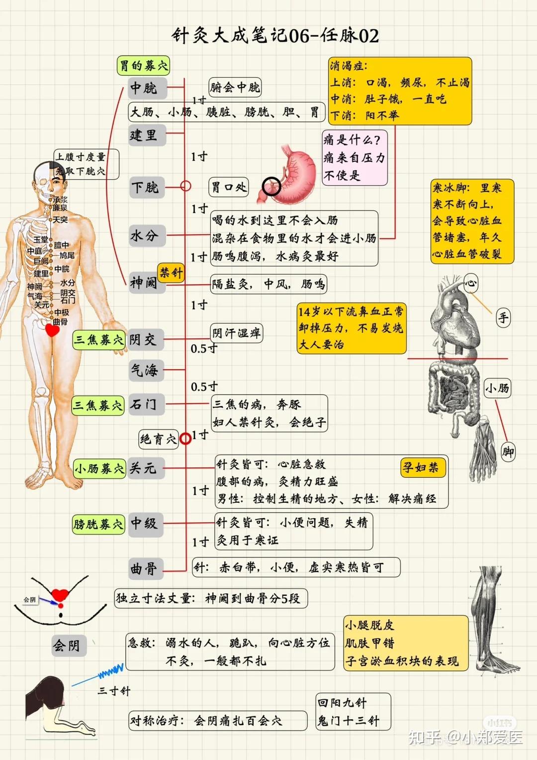 针灸大成手写笔记（借阅篇）推荐收藏 知乎