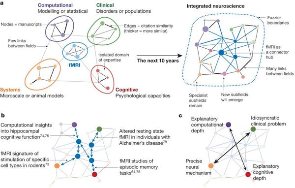 Nature：fMRI联接系统神经、认知神经、计算神经和临床神经科学 - 知乎