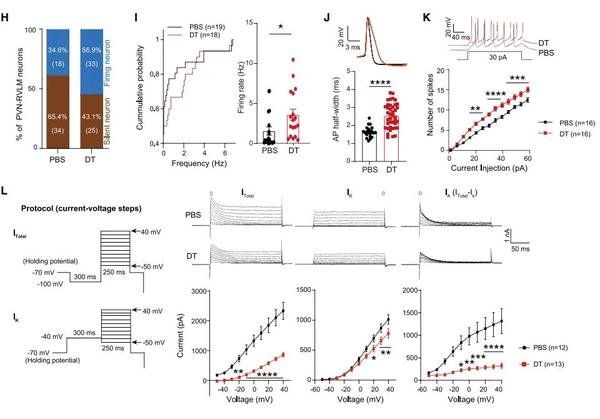 IF=43.47【客户文章】Immunity｜小胶质细胞调控交感神经兴奋性遏制高血压的机制研究 - 知乎