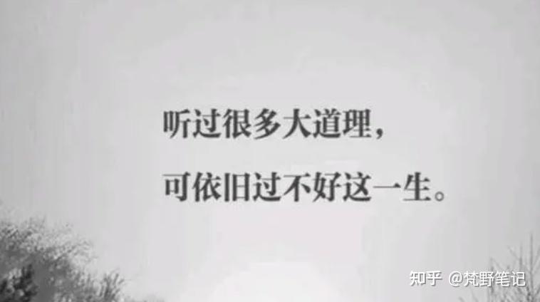 听过很多大道理，可依旧过不好这一生 知乎
