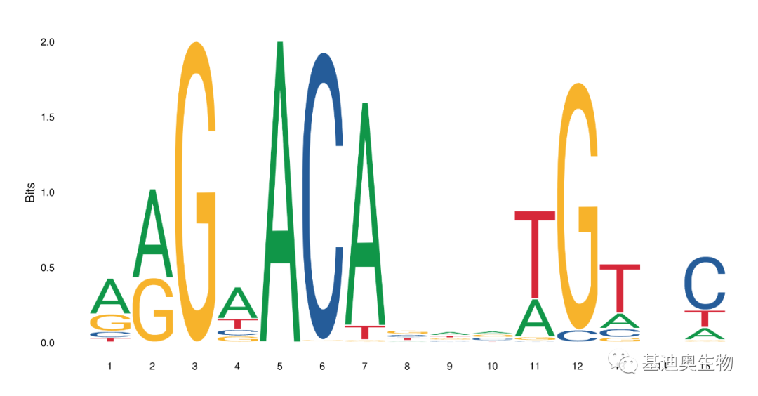 使用JASPAR预测转录因子结合位点 - 知乎
