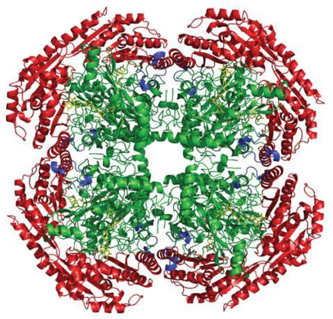 VAO酶的特性及应用 - 知乎