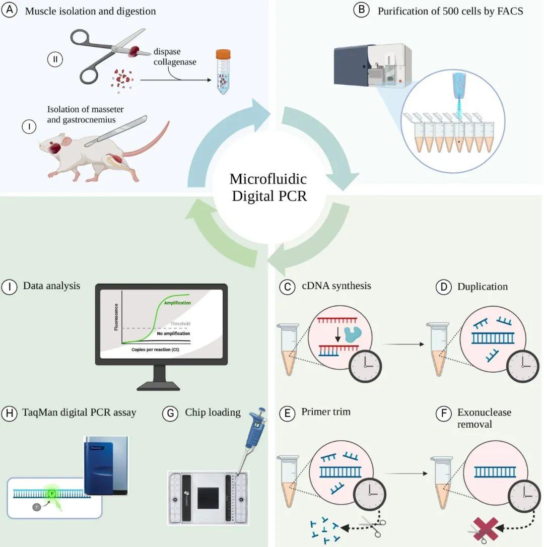 Bio-protocol | 2023年9月5日最新上线实验方案目录 - 知乎