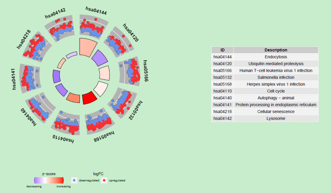 【R语言】circleplot展示KEGG富集分析结果 - 知乎