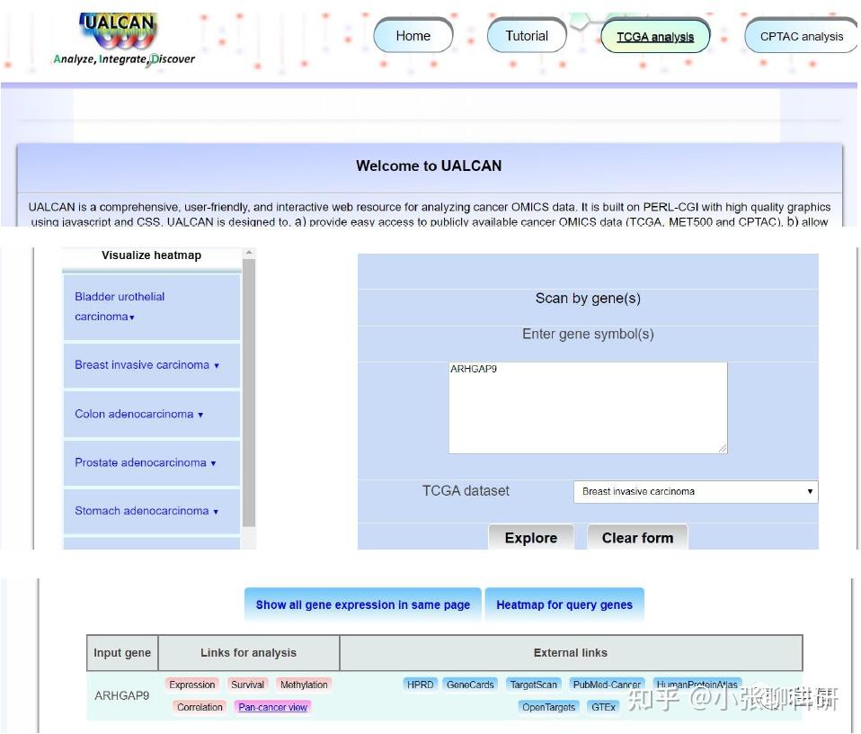生信实操丨是的你没看错！0代码复现4分生信文章的7图1表 - 知乎