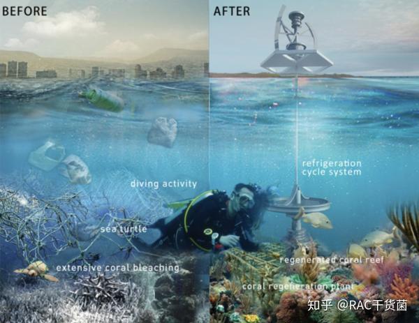 RAC重磅首发！2020ASLA学生奖公布，北大天大华南农安徽大等八校获奖，中国学生强势霸屏！！ - 知乎