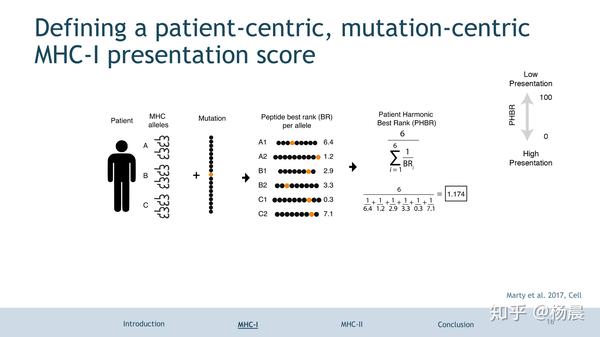 MHC在肿瘤发展过程中的作用 - 知乎