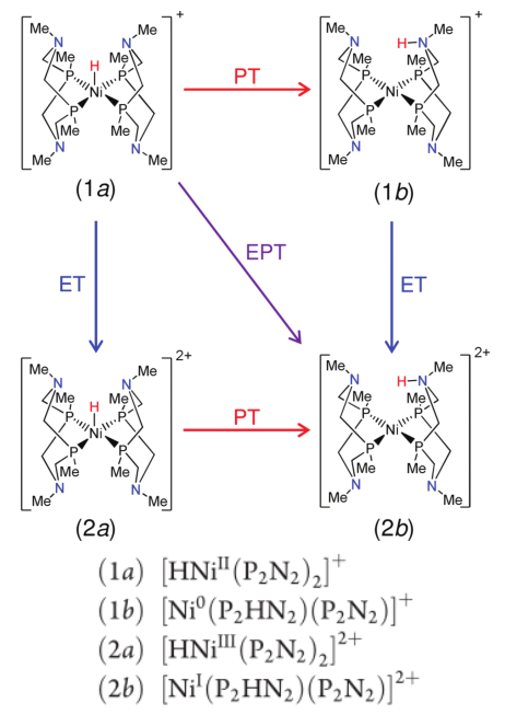 Concerted or Sequential PCET? (三) - 知乎