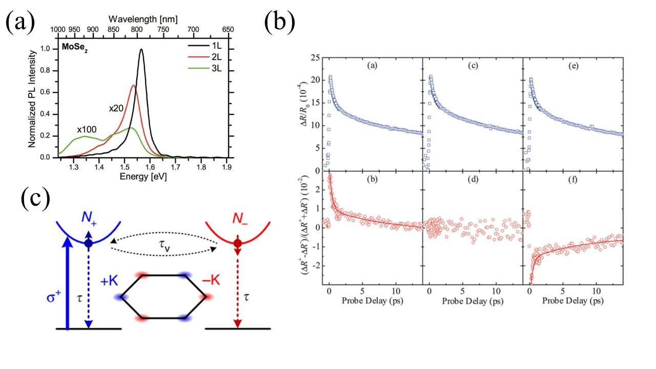 pump-probe技术在2D TMDs中的应用 - 知乎