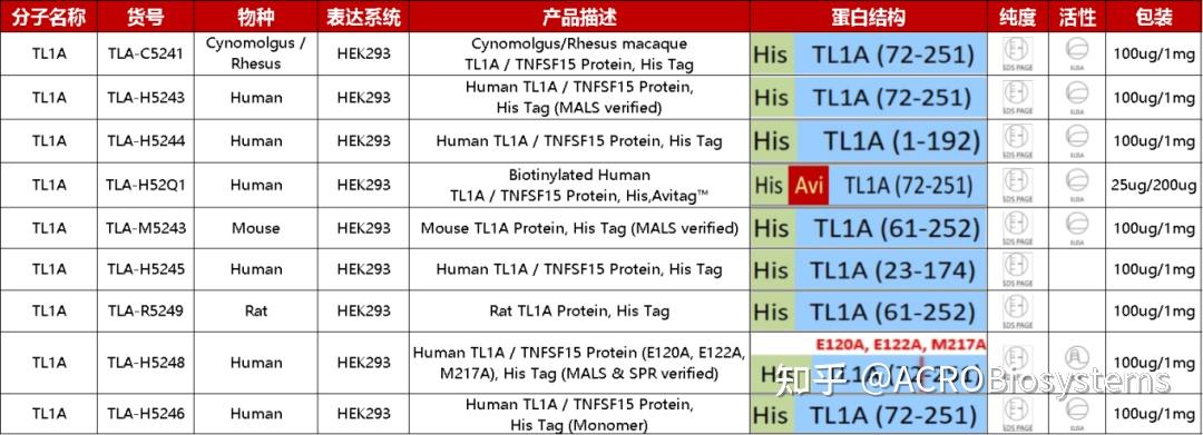 TL1A报告基因细胞株：自免疾病明星靶点TL1A药物开发 - 知乎