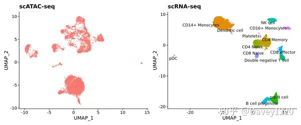 Seurat包学习笔记（六）：scATAC-seq + scRNA-seq integration - 知乎