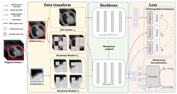 [论文阅读] MIM | GL-MAE：用于医学图像的 Global-Local Masked Autoencoder - 知乎
