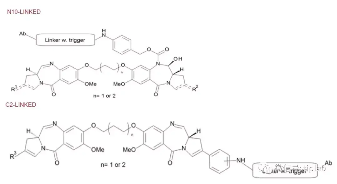 专注于开发ADC药物的ADC Therapeutics - 知乎