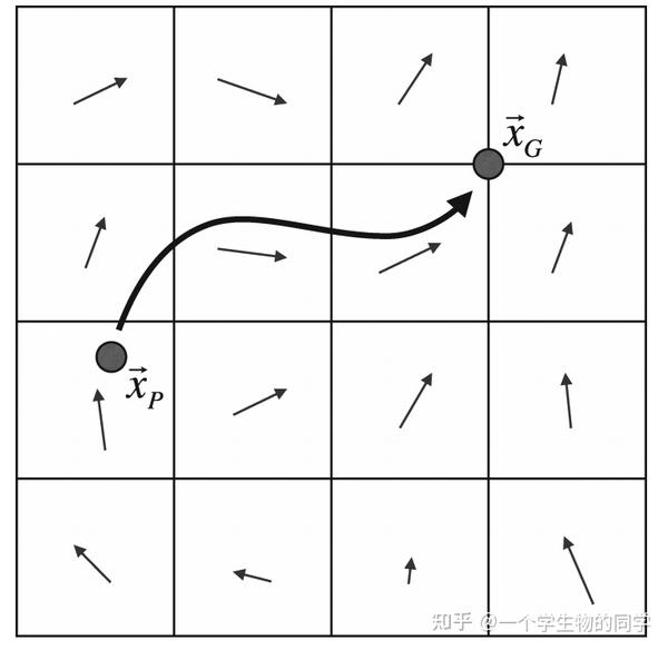 《Fluid Simulation》Chapter 3 Advection Algorithms - 知乎