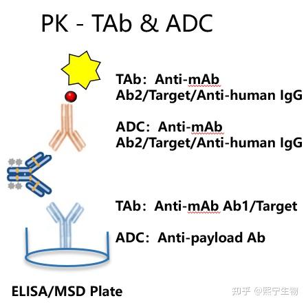 揭秘ADC药物之PK检测形式和结果一致性的关键考量 - 知乎