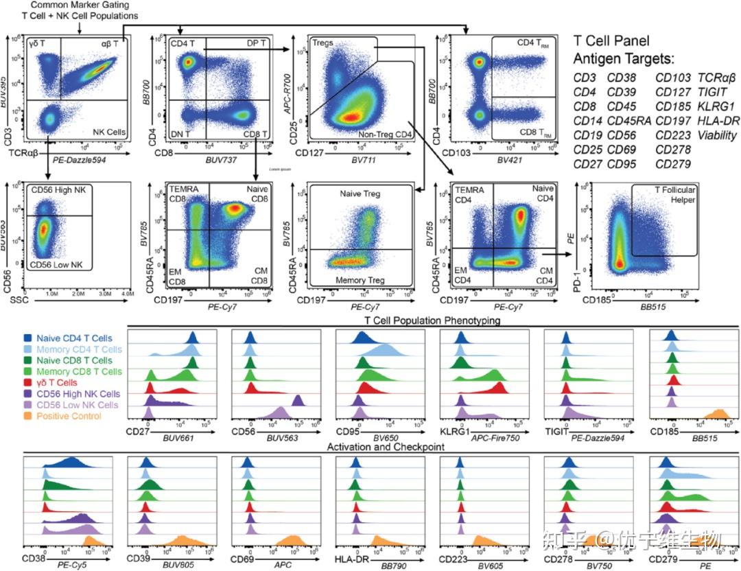 光谱流式与常规流式对人外周血PBMC的高维免疫分型分析 - 知乎