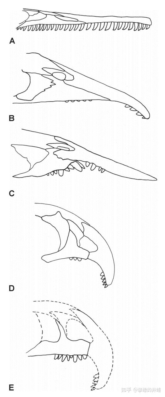 【地球演义】第二百七十六回 九龙颂8：等闲入海即乘潮 - 知乎