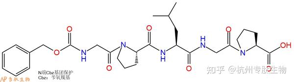 CAS号:2646-61-9，脯氨酰内肽酶（PEP）底物：Z-Gly-Pro-Leu-Gly-Pro - 知乎