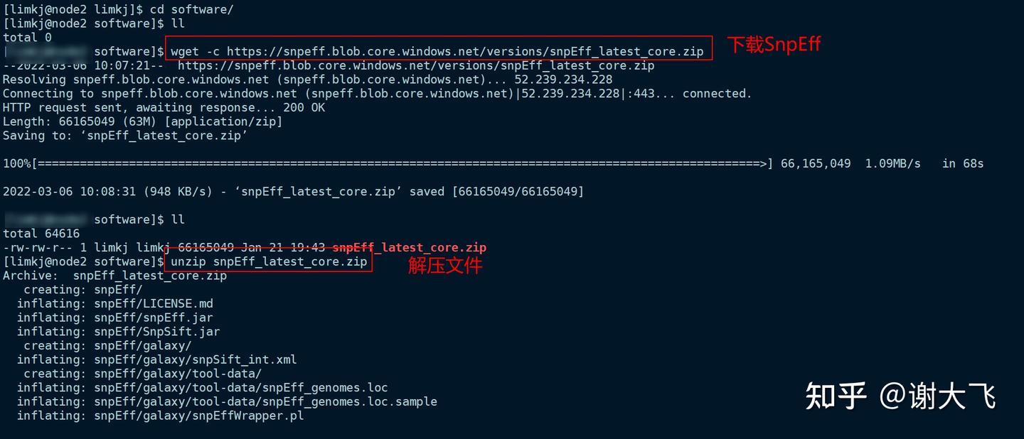 SnpEff安装使用及报错解决 - 知乎