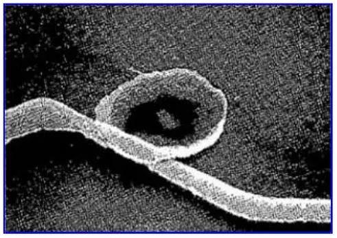 保护IGBT和MOSFET免受ESD损坏 - 知乎