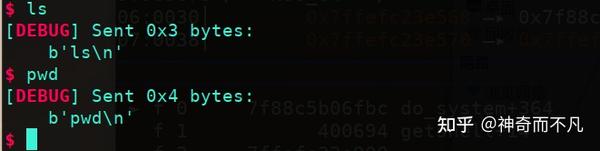 【pwn-栈溢出】— Ret2text - 知乎