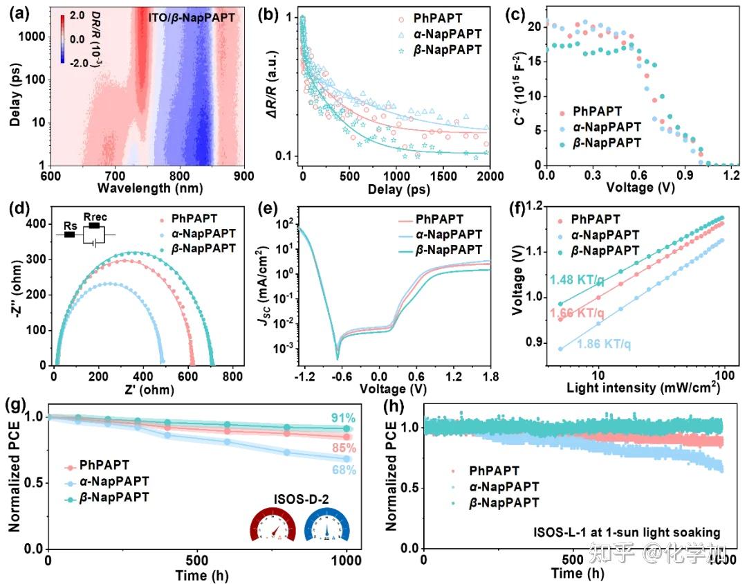 中国科学院福建物构所高鹏课题组Angew：解密自组装分子层中的芳香连接体对钙钛矿单节/硅串联光伏性能的影响 - 知乎